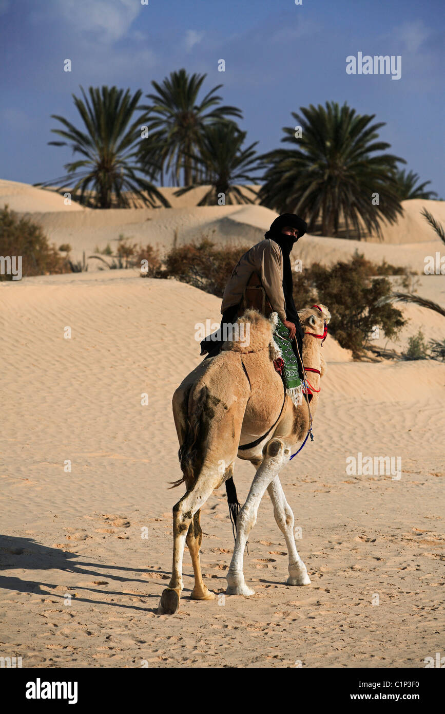 Tunisia, Southern tunisia, Douz, desert at Zaafrane Stock Photo - Alamy