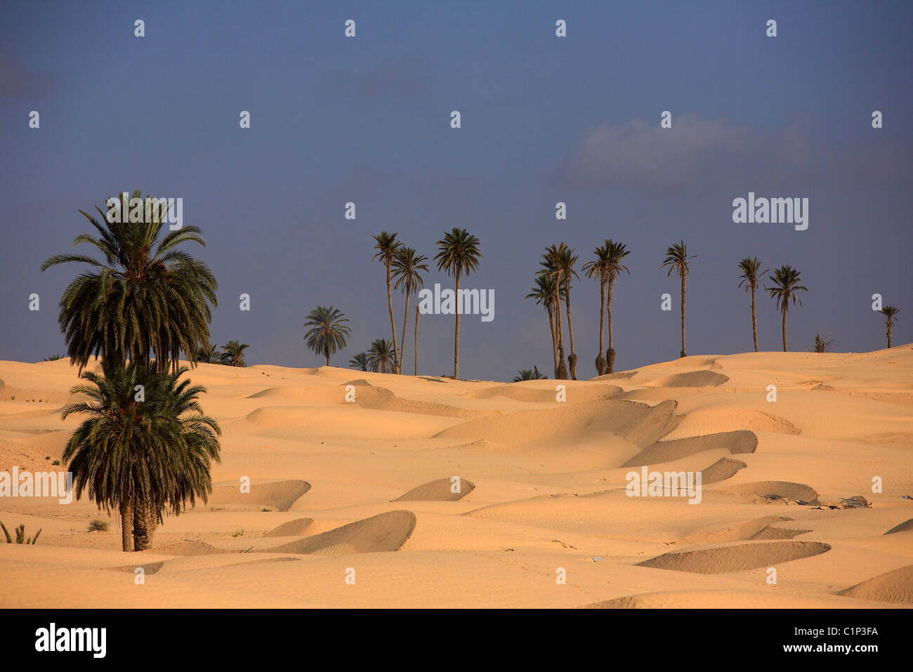 Zaafrane tunisia hi-res stock photography and images - Alamy