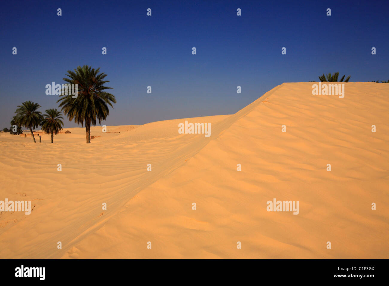 Tunisia, Southern tunisia, Douz, desert at Zaafrane Stock Photo - Alamy