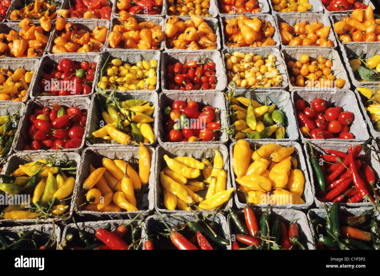 United States, New York City, chilis stand on the market Stock Photo ...