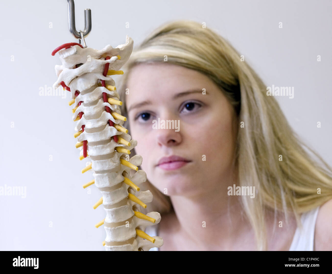Female medical student studying part of a model of a human spine, UK ...