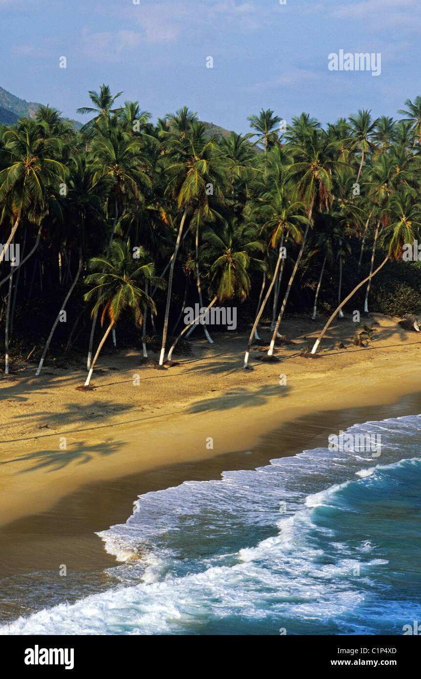 Aragua state venezuela hi-res stock photography and images - Alamy