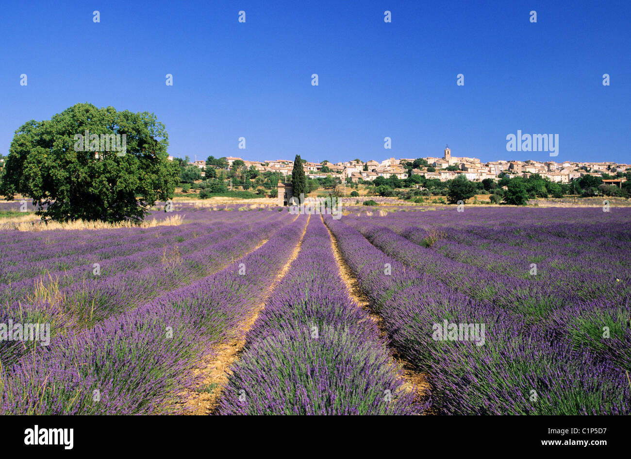 France puimoisson village hi-res stock photography and images - Alamy