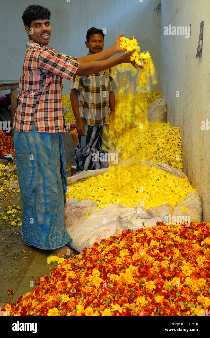India, Karnataka state, Bangalore, flowers market at the City Market ...