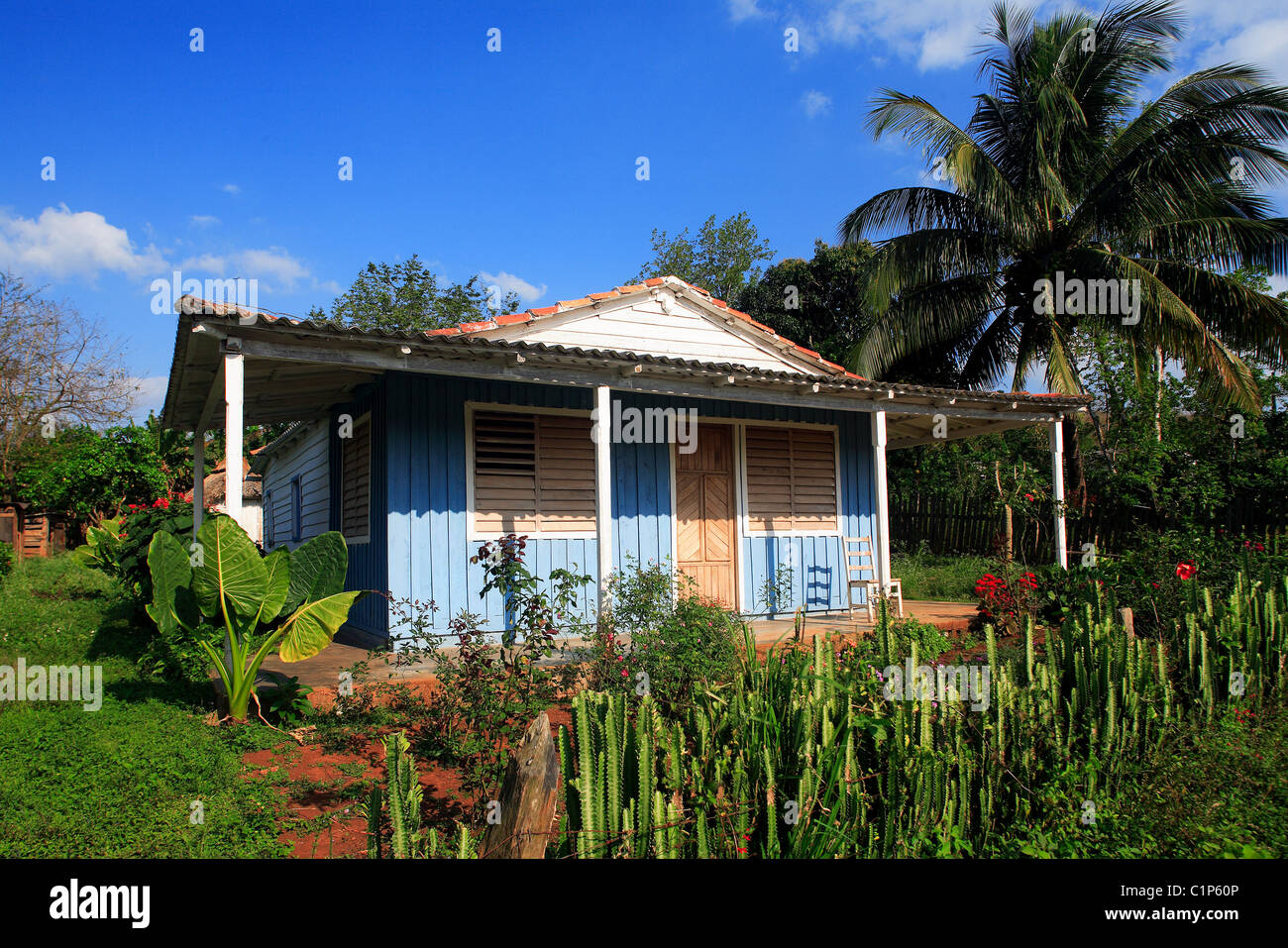 Cuba, Vinales, traditional wooden house Stock Photo - Alamy
