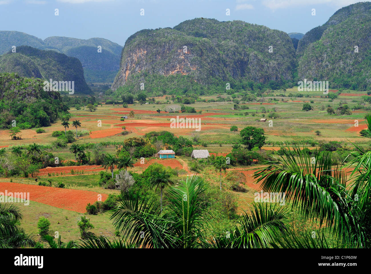 Cuba, Vinales, mogotes, geological curiousities Stock Photo - Alamy