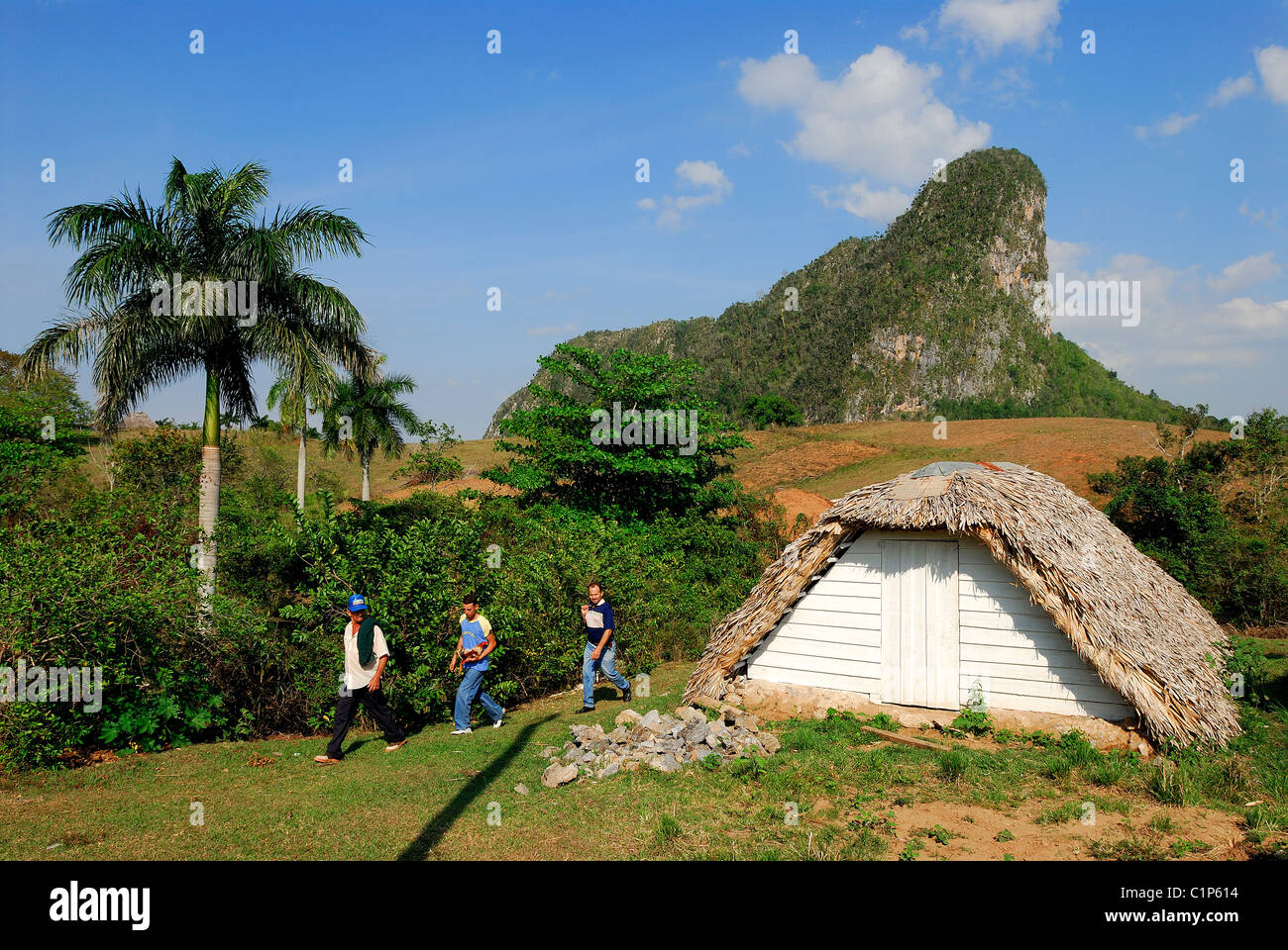 Cuba, Vinales, bohio, cyclone shelter at the foot of a mogote ...