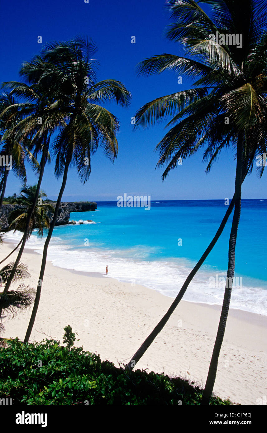 Idyllic beach in barbados hi-res stock photography and images - Alamy