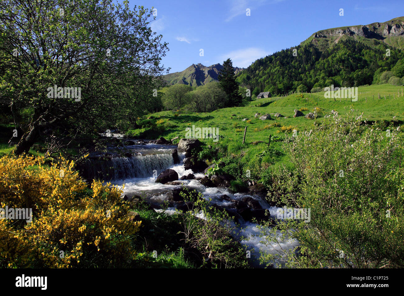 France, Puy de Dome, Auvergne Volcanoes Natural Regional Park, Dordogne ...
