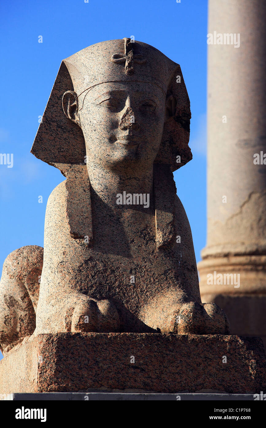 Egypt, the Mediterranean coast, Alexandria, Pompey's Column and sphinx ...