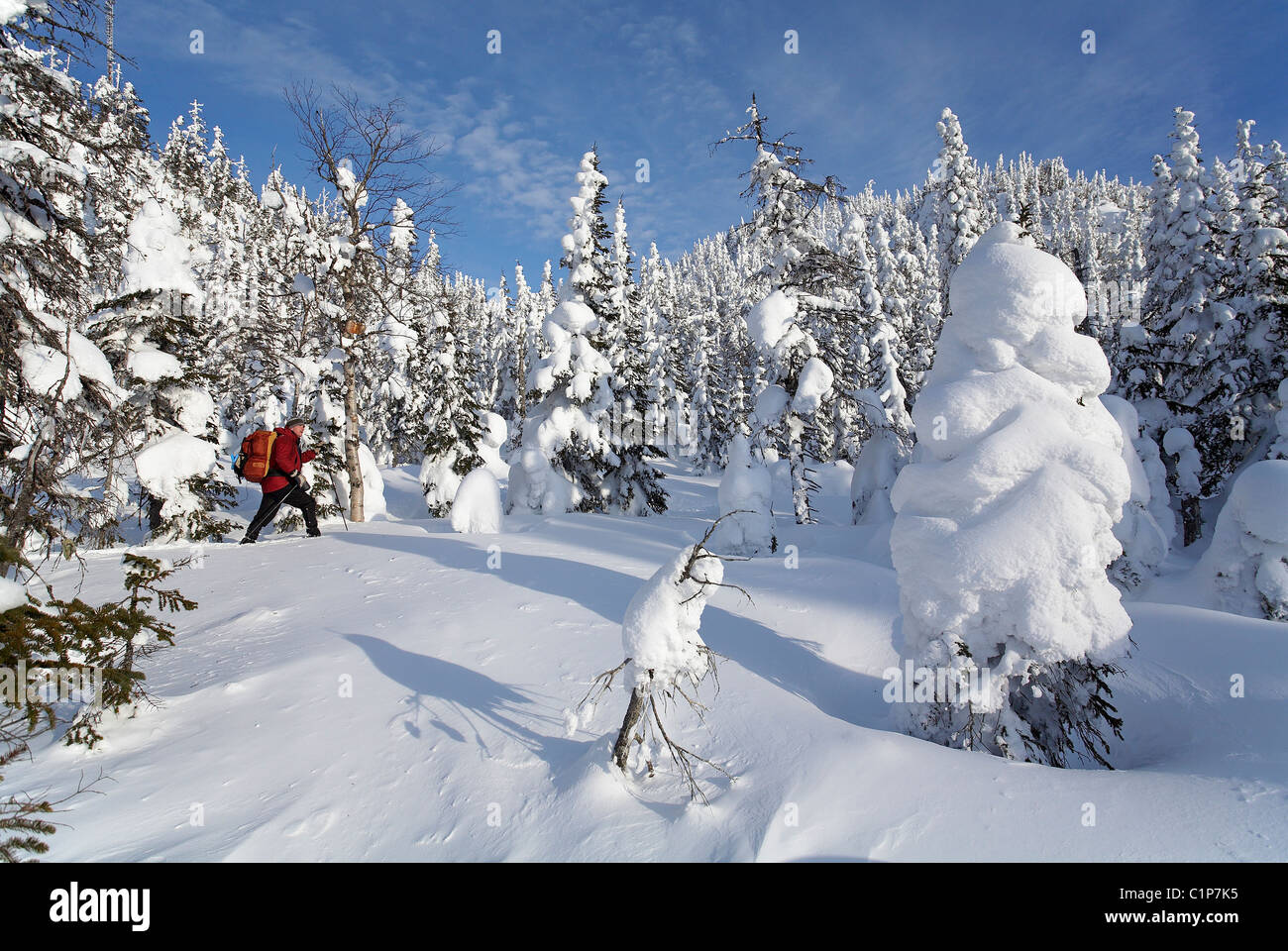 Monts valin hi-res stock photography and images - Alamy