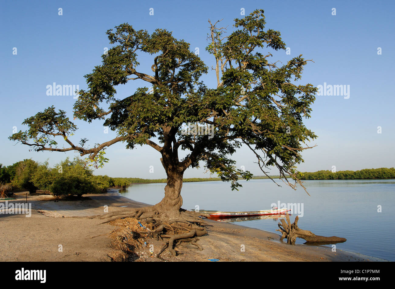 Senegal, Saloum River Delta, Sine Saloum area, Biosphere Reserve Stock ...
