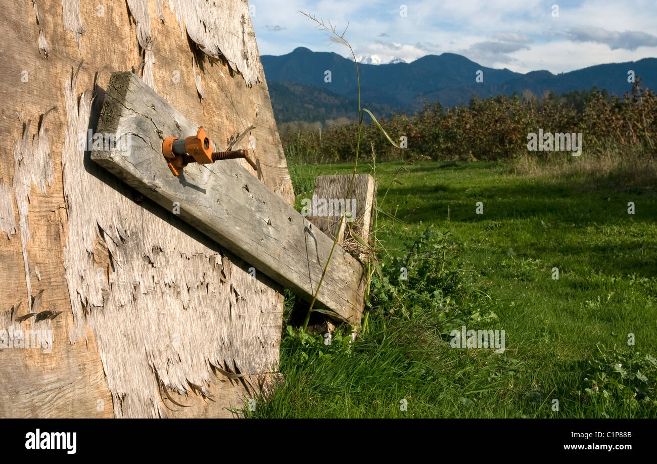 Cascade plantation hi-res stock photography and images - Alamy