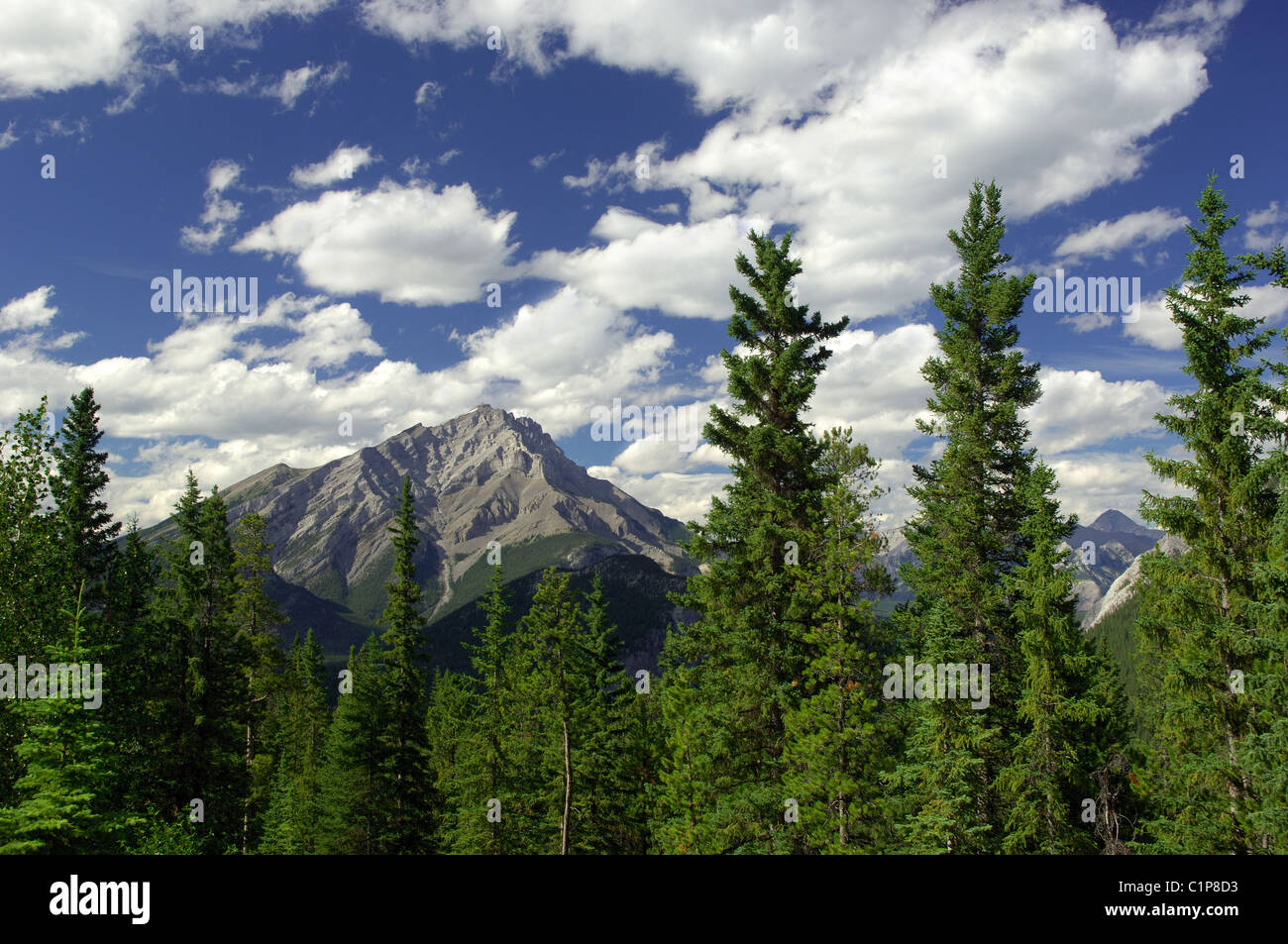 Rundle Mountain in Banff National Park, Alberta, Canada Stock Photo - Alamy