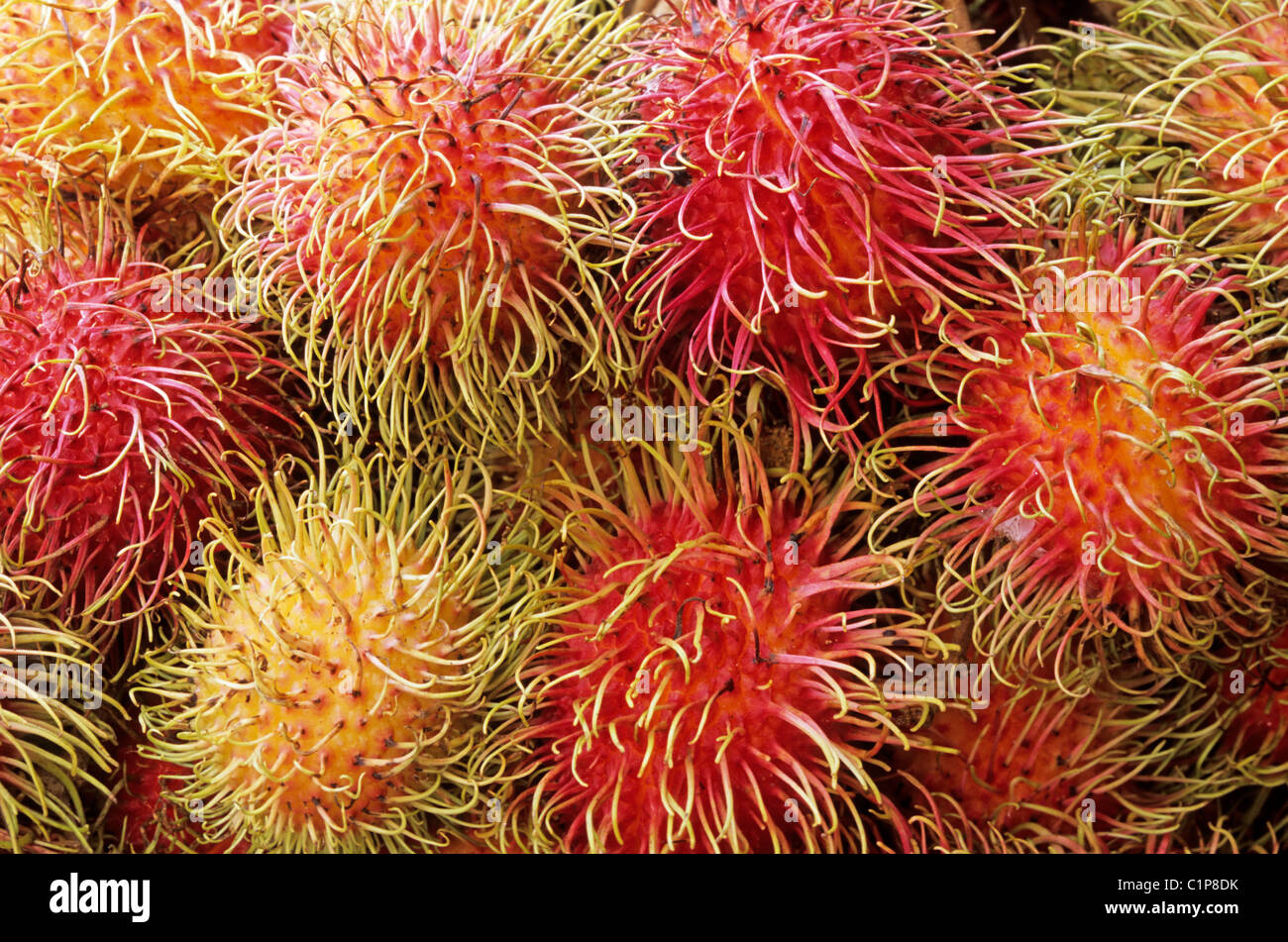 Rambutans malaysia hi-res stock photography and images - Alamy