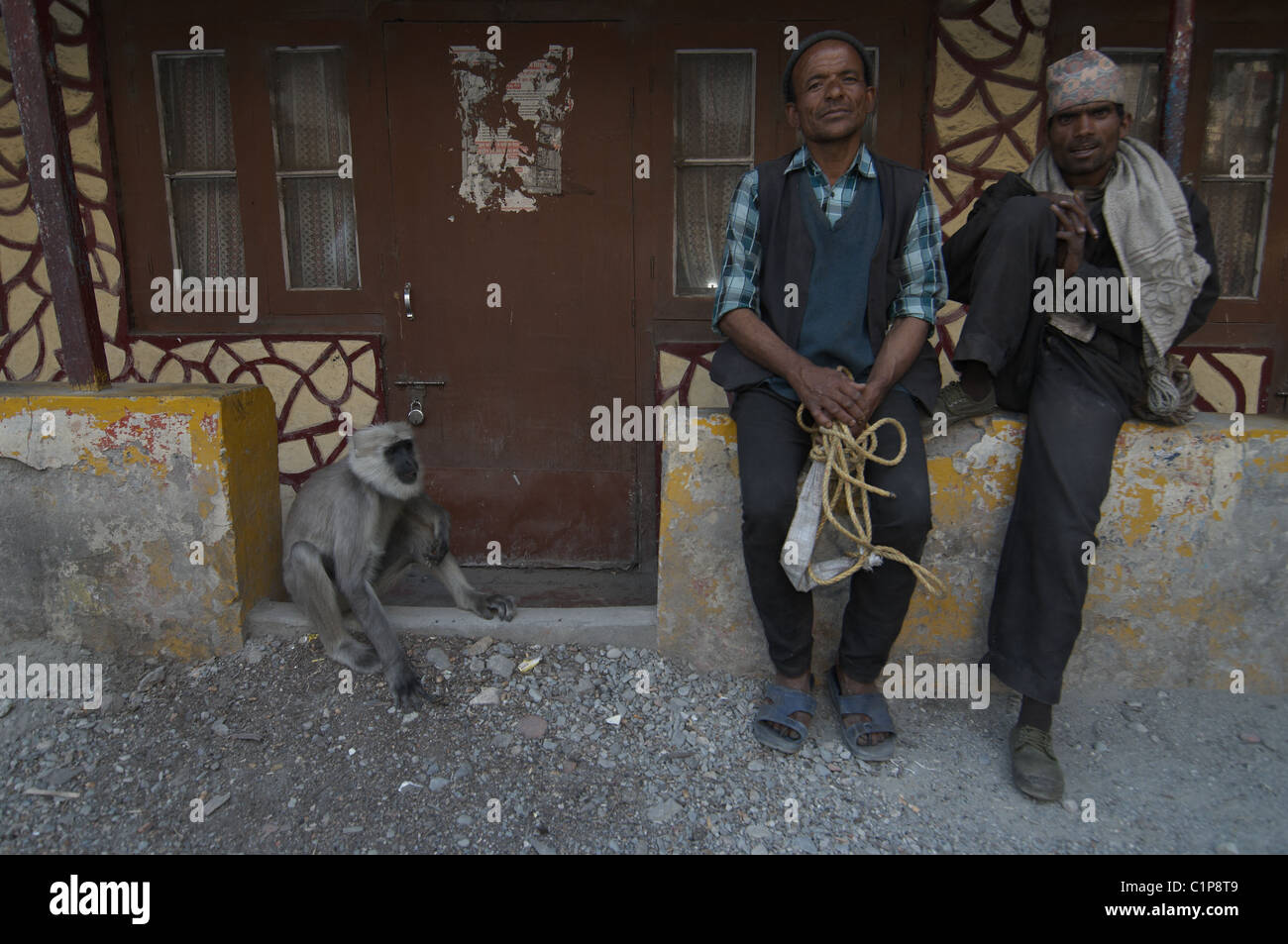 Monkey home hi-res stock photography and images - Alamy