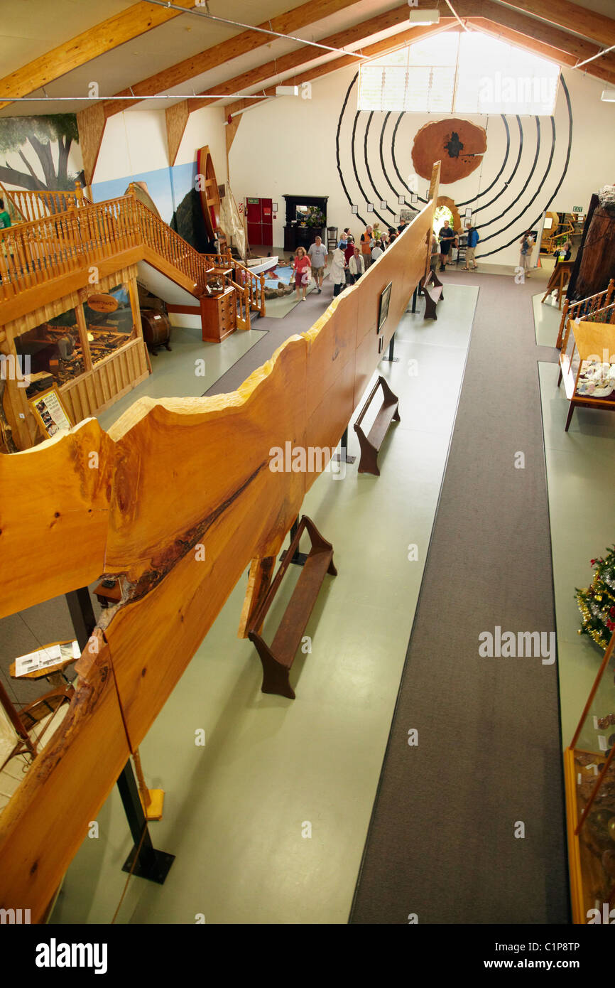 Giant plank from kauri tree, The Kauri Museum, Matakohe, Northland ...