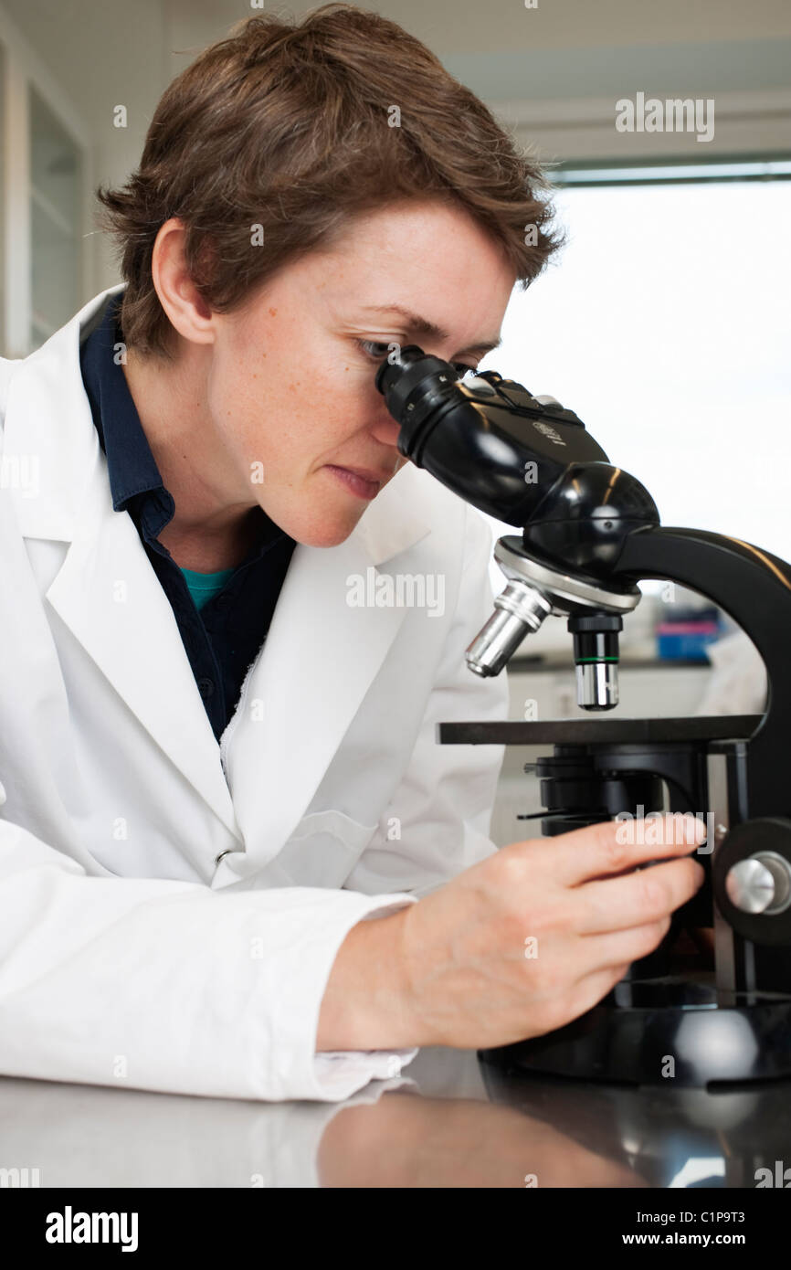 Focusing microscope hi-res stock photography and images - Alamy
