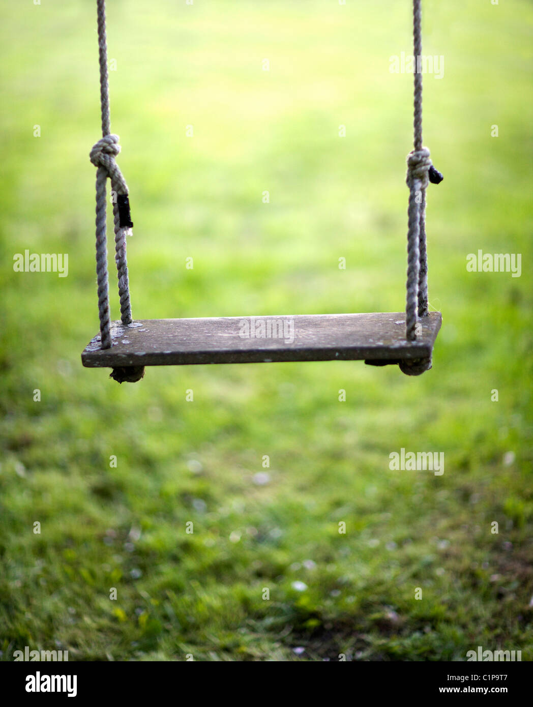 Rope swing in garden Stock Photo - Alamy