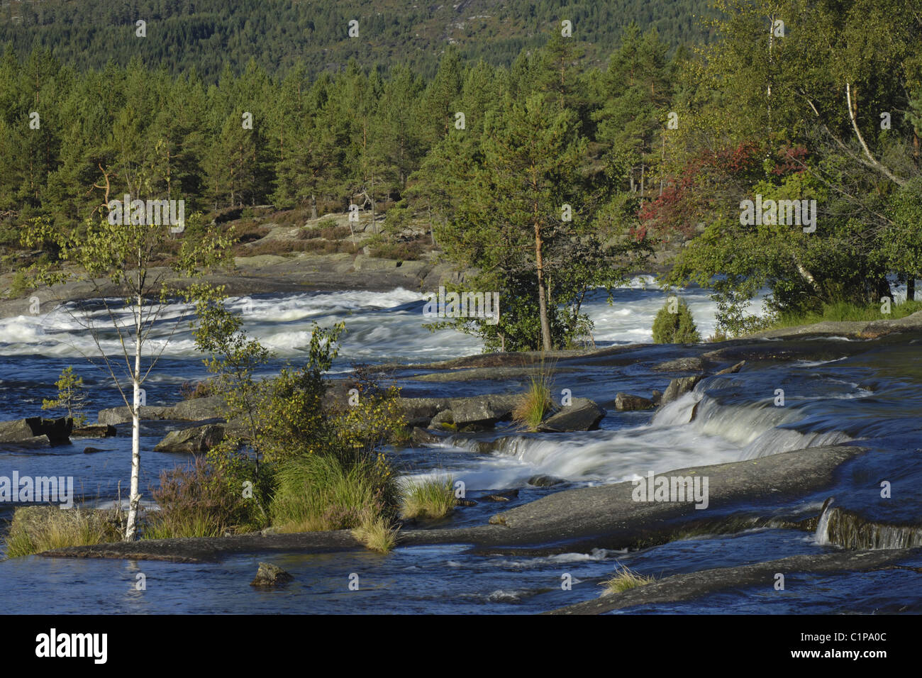 Otra river, Norway Stock Photo - Alamy
