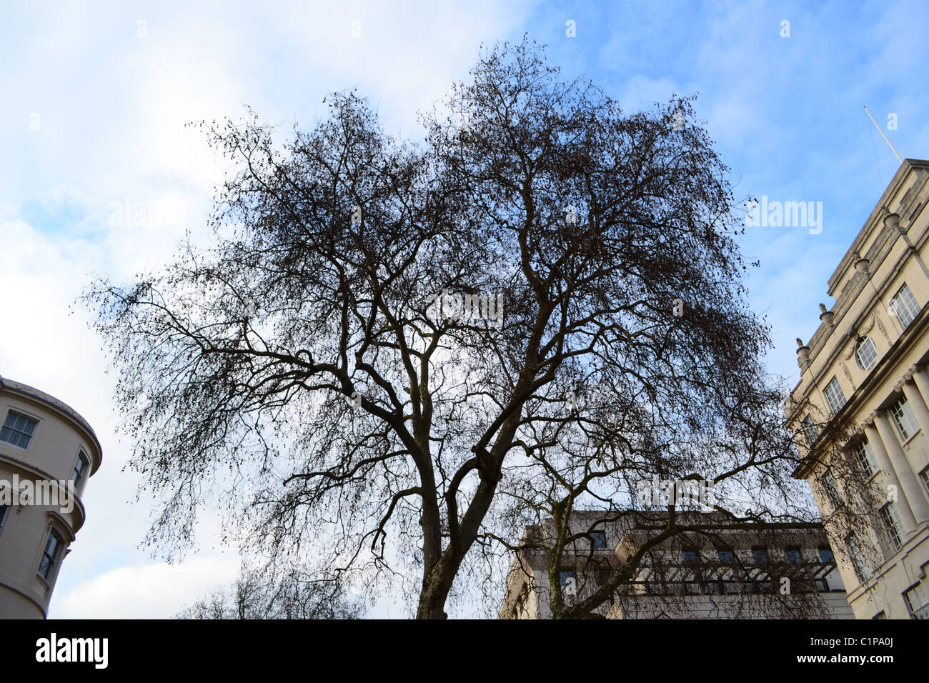 Little Square High Resolution Stock Photography and Images - Alamy