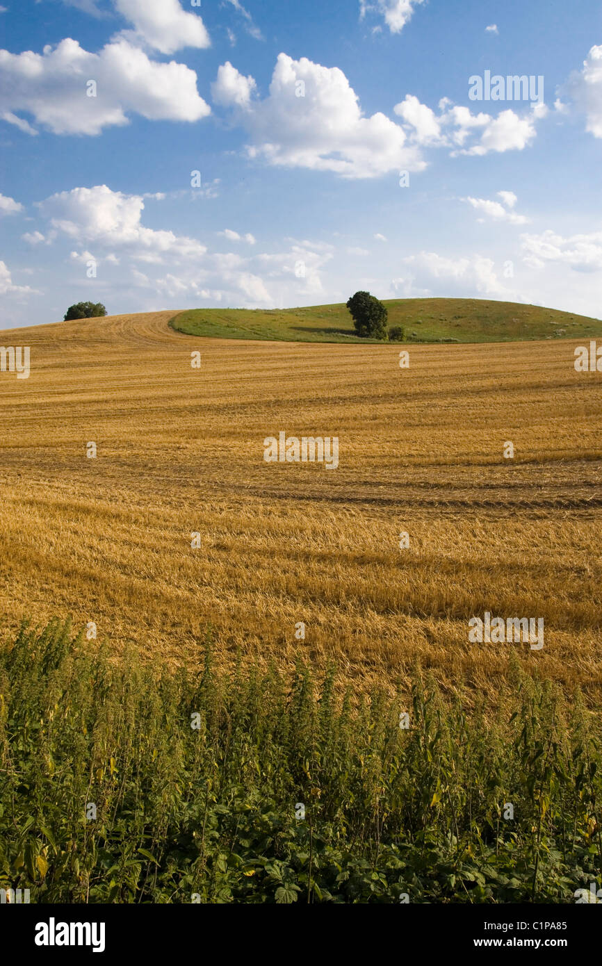 Gustrow hi-res stock photography and images - Alamy