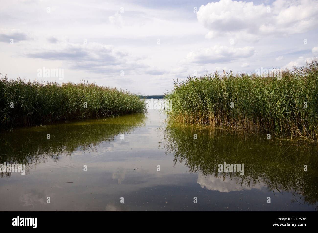 Germany lake muritz hi-res stock photography and images - Alamy