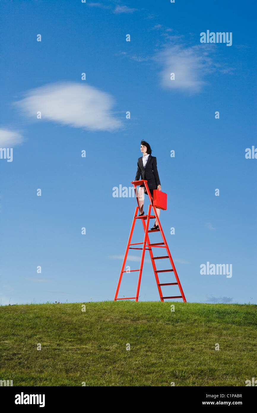 On top of ladders hi-res stock photography and images - Alamy