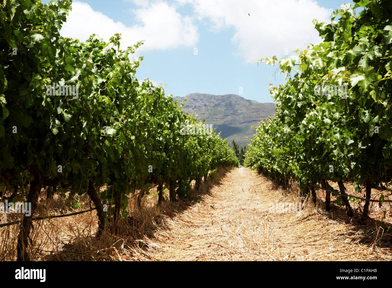 Single view hi-res stock photography and images - Alamy