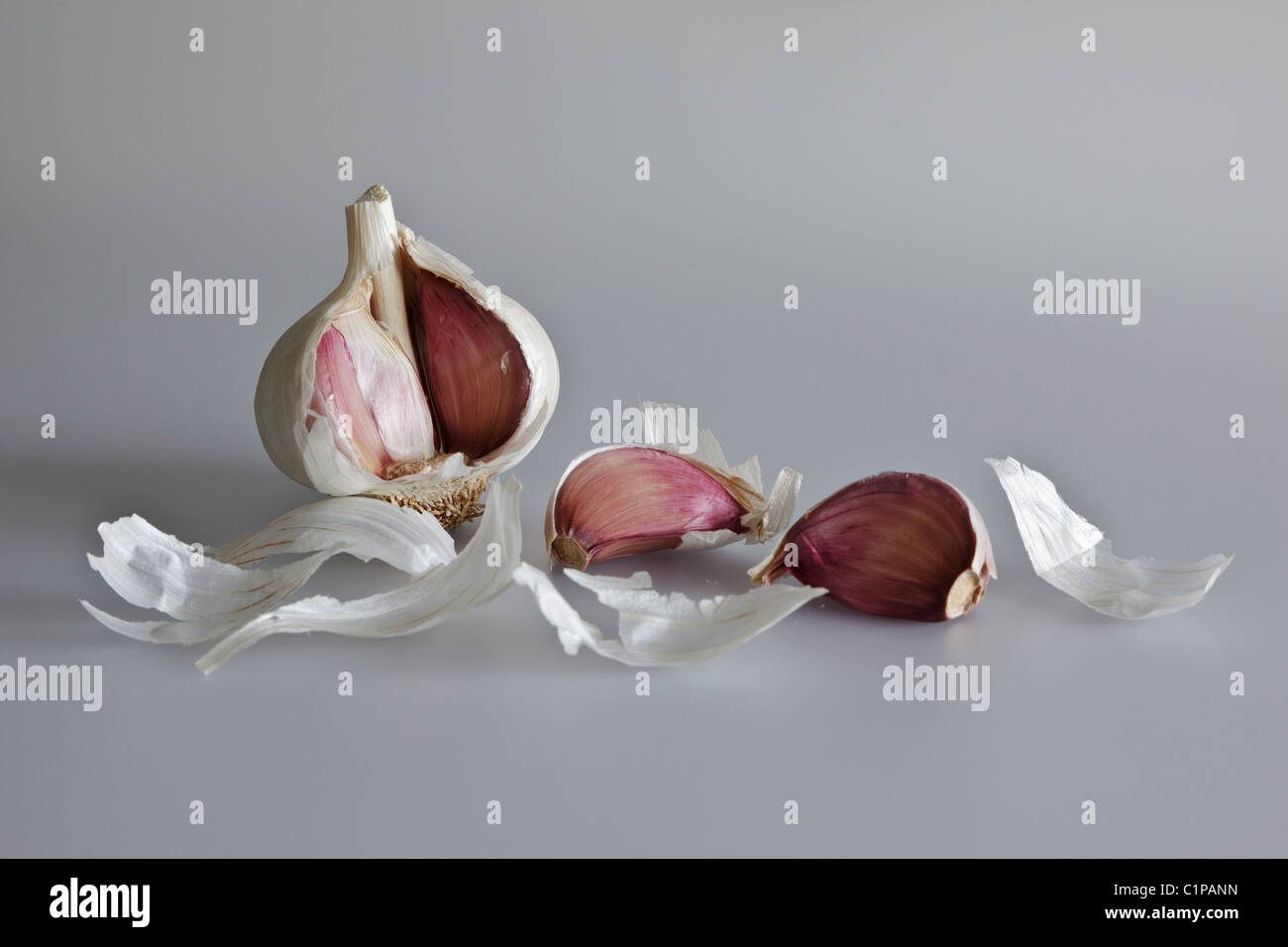 Still life of a bulb and two cloves of garlic against a grey background ...