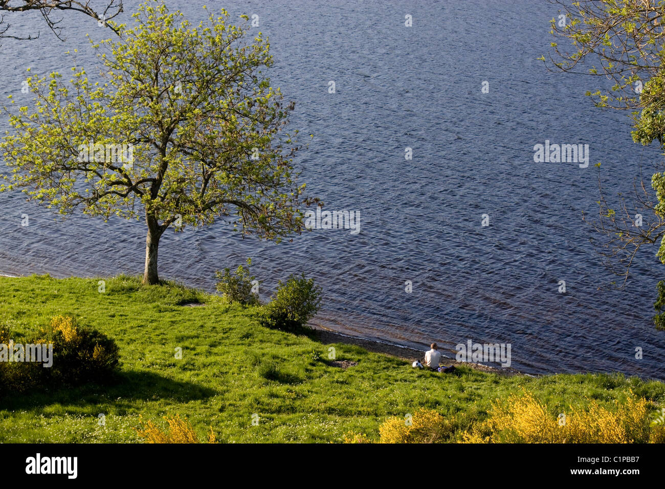 Loch of clunie hi-res stock photography and images - Alamy