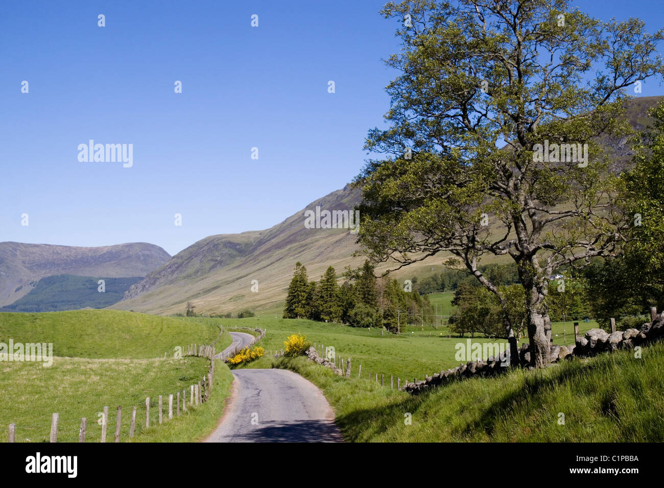 Perthshire countryside hi-res stock photography and images - Alamy