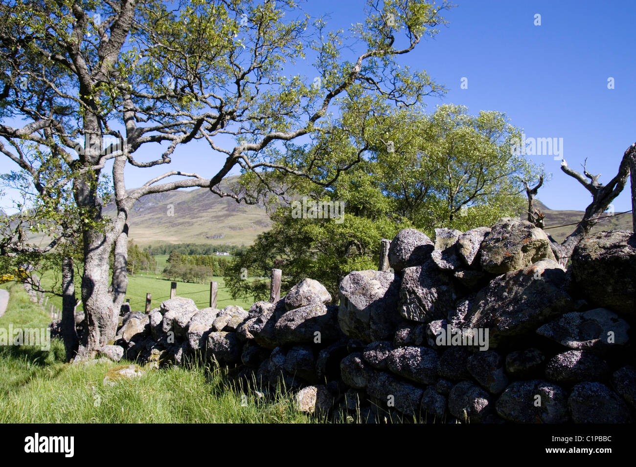 Strathmore hi-res stock photography and images - Alamy