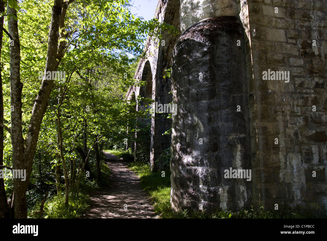 Narrow tree lined path next to viaduct hi-res stock photography and ...