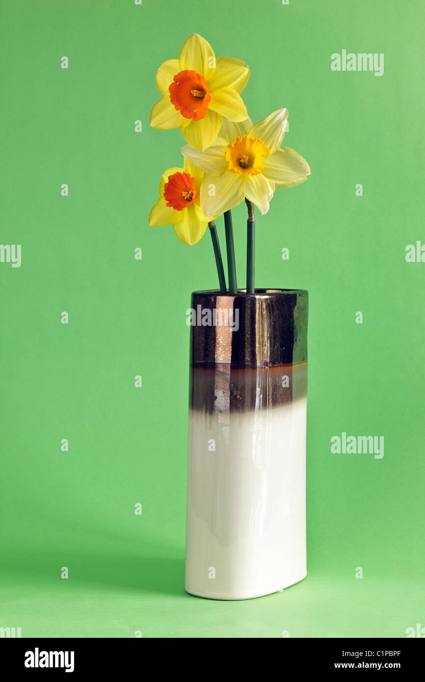 Still life of three daffodils in a stone vase against a plain green ... Still life of three daffodils in a stone vase against a plain green ...