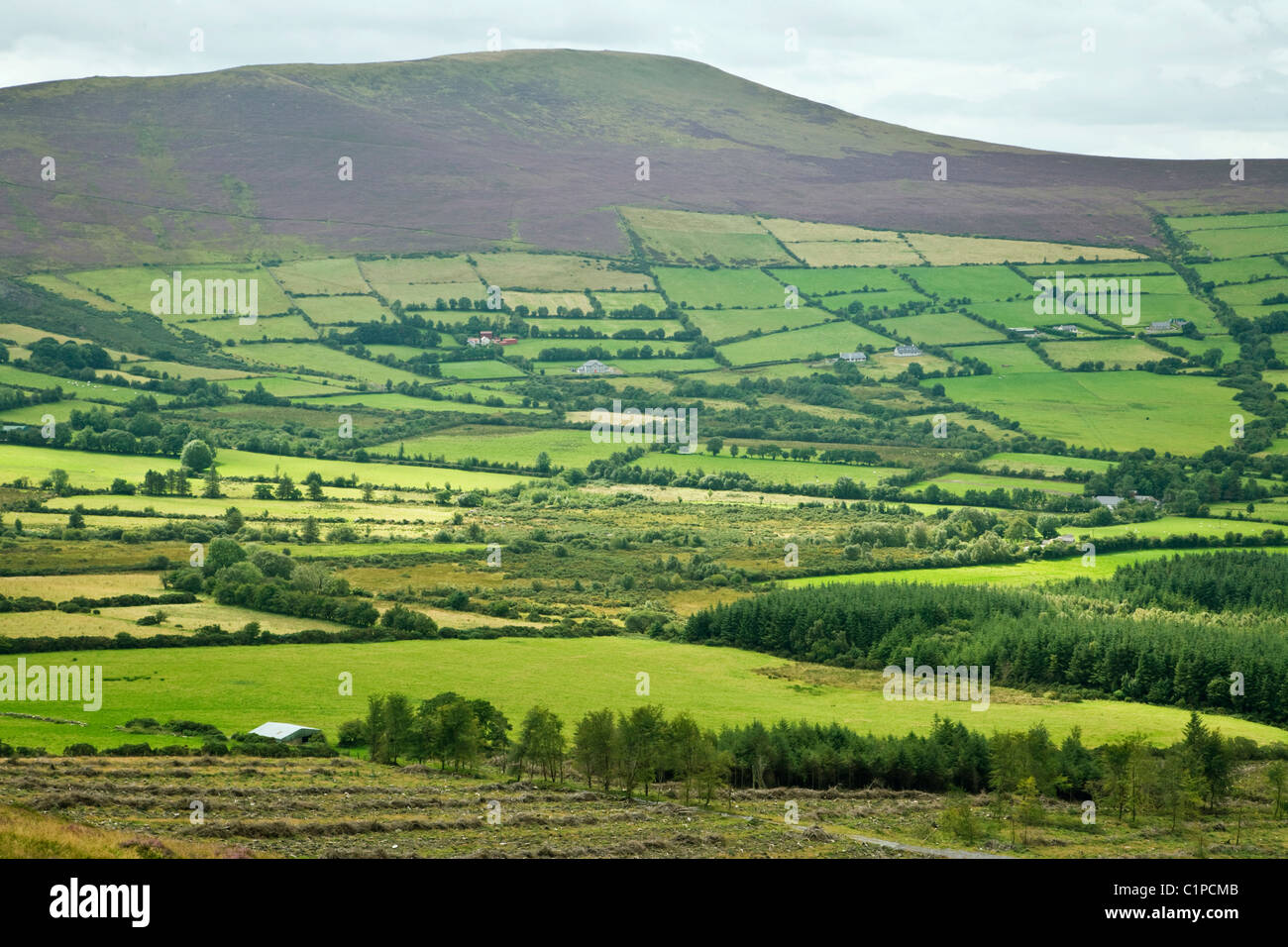 Republic of Ireland, County Carlow, Mount Leinster overlooking ...