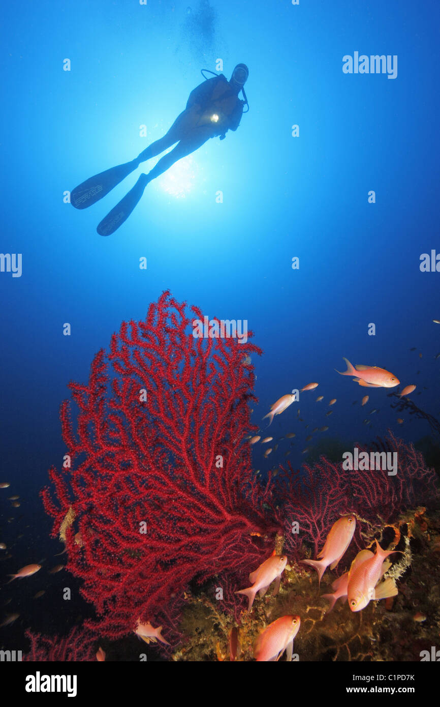 Scuba diver adventure hi-res stock photography and images - Alamy
