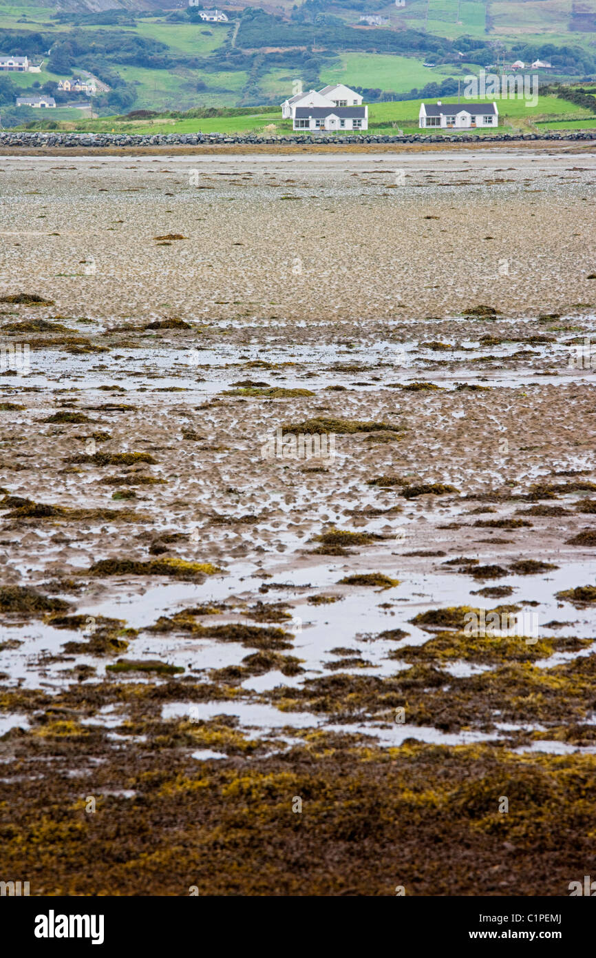 Tidal flat hi-res stock photography and images - Alamy