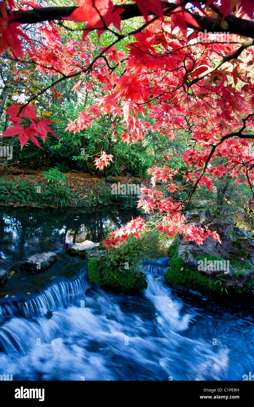 Republic of Ireland, Kildare, flowing stream in Japanese Gardens Stock ...