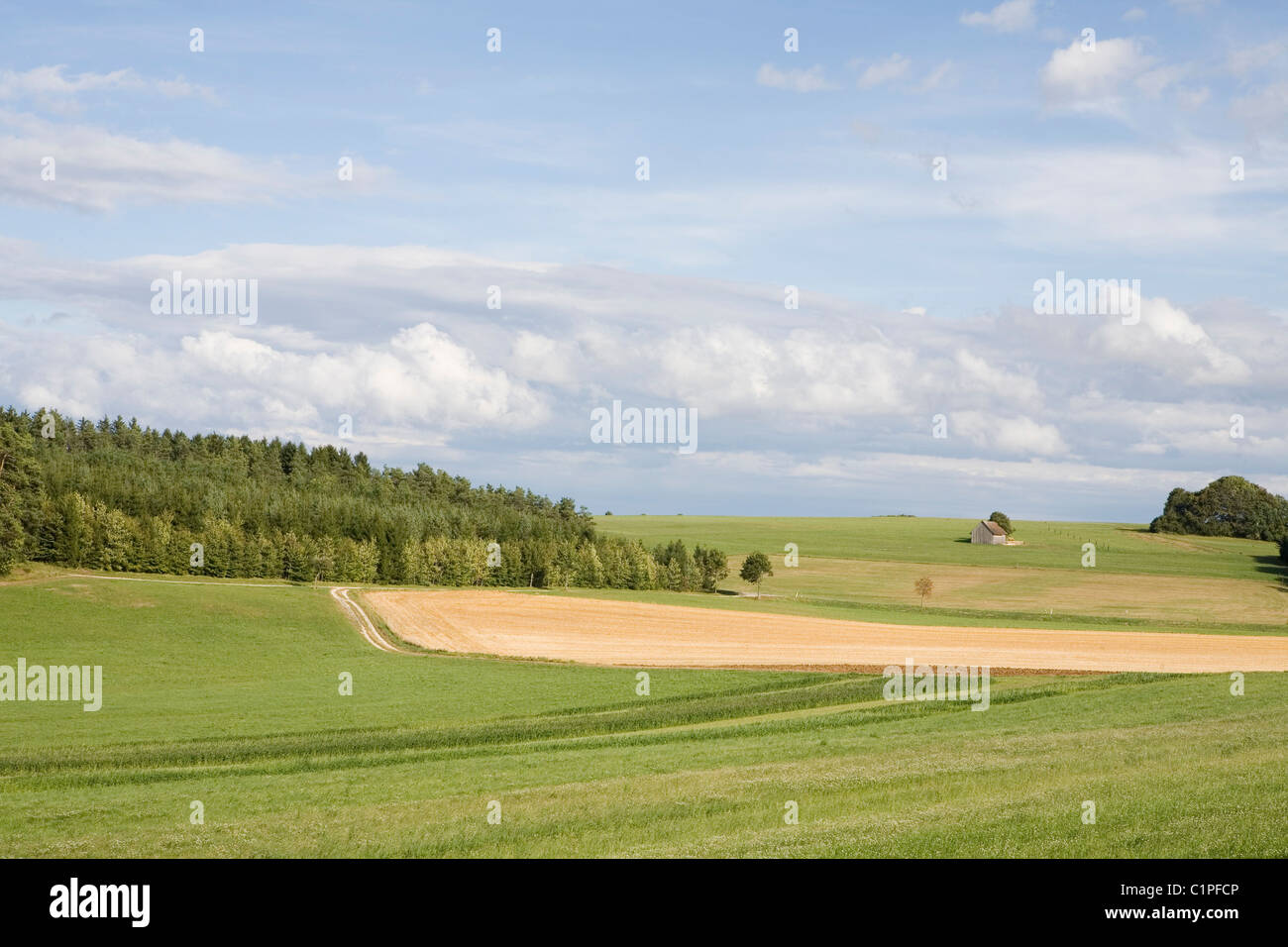 Germany, Bavaria, agricultural fields Stock Photo - Alamy