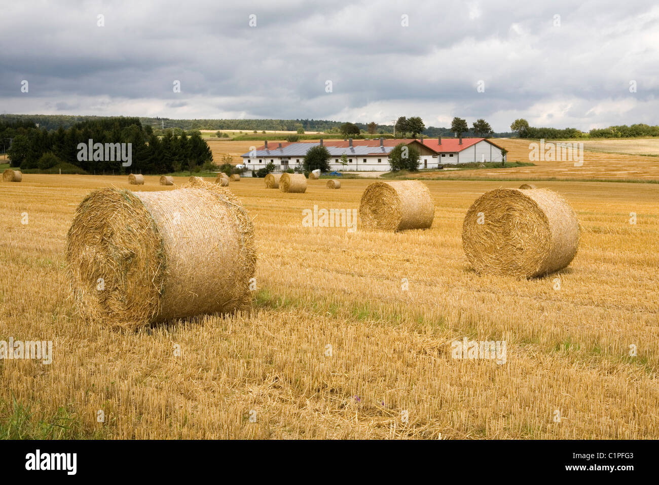 Hay Bales Germany Stock Photos & Hay Bales Germany Stock Images - Alamy