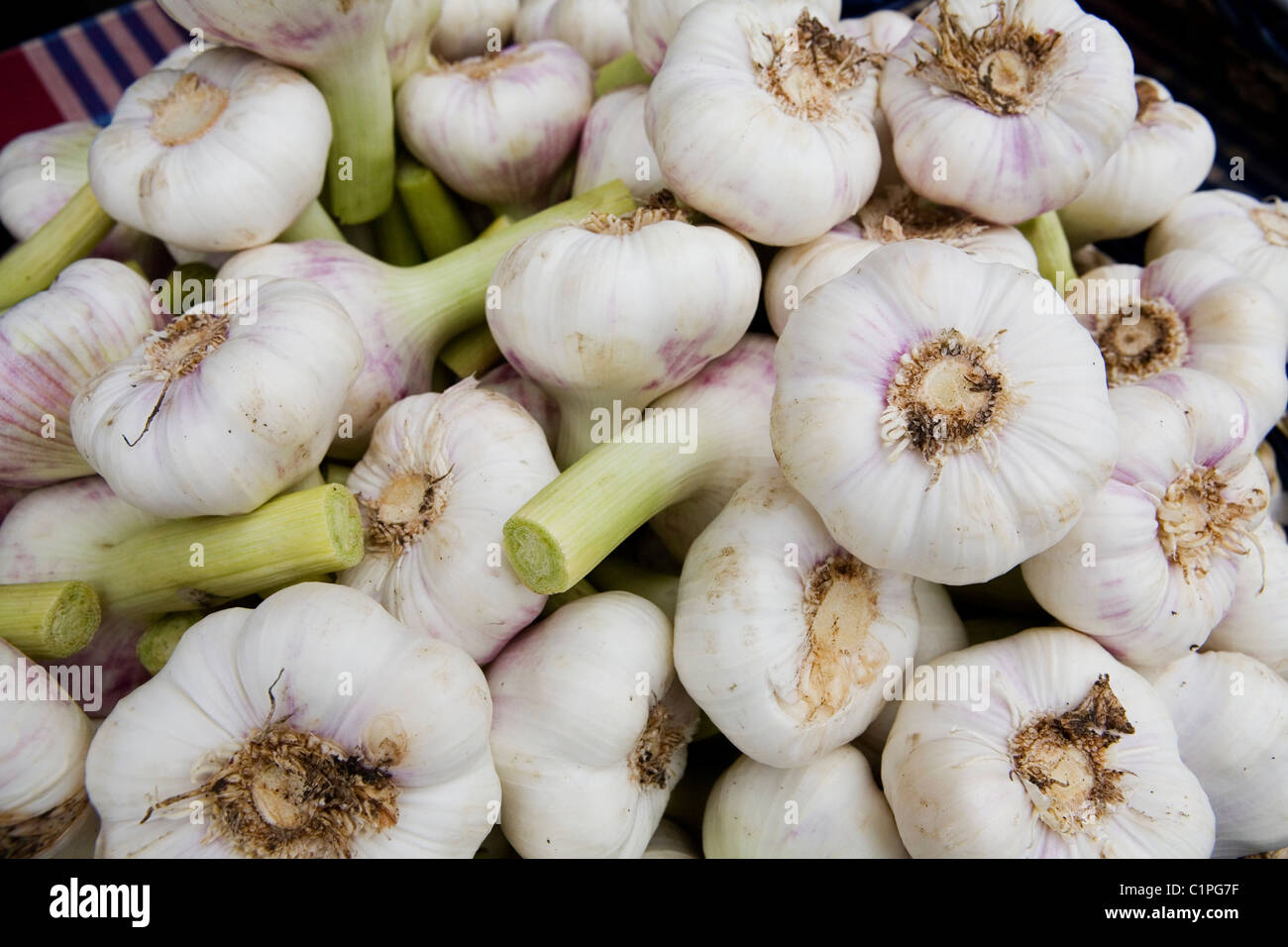 Germany, Bavaria, Ulm, Fresh garlic Stock Photo - Alamy