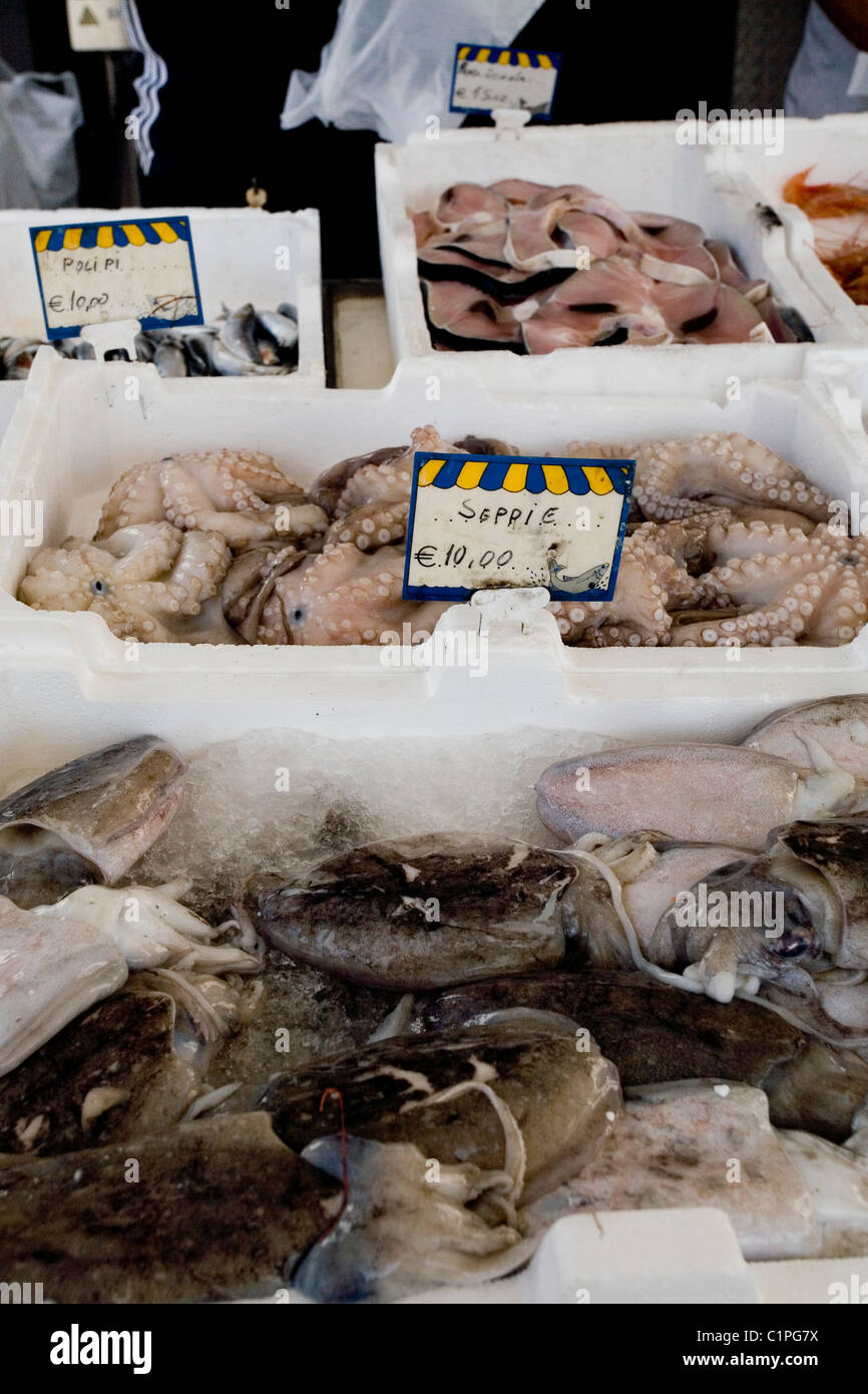 Calabria Fish