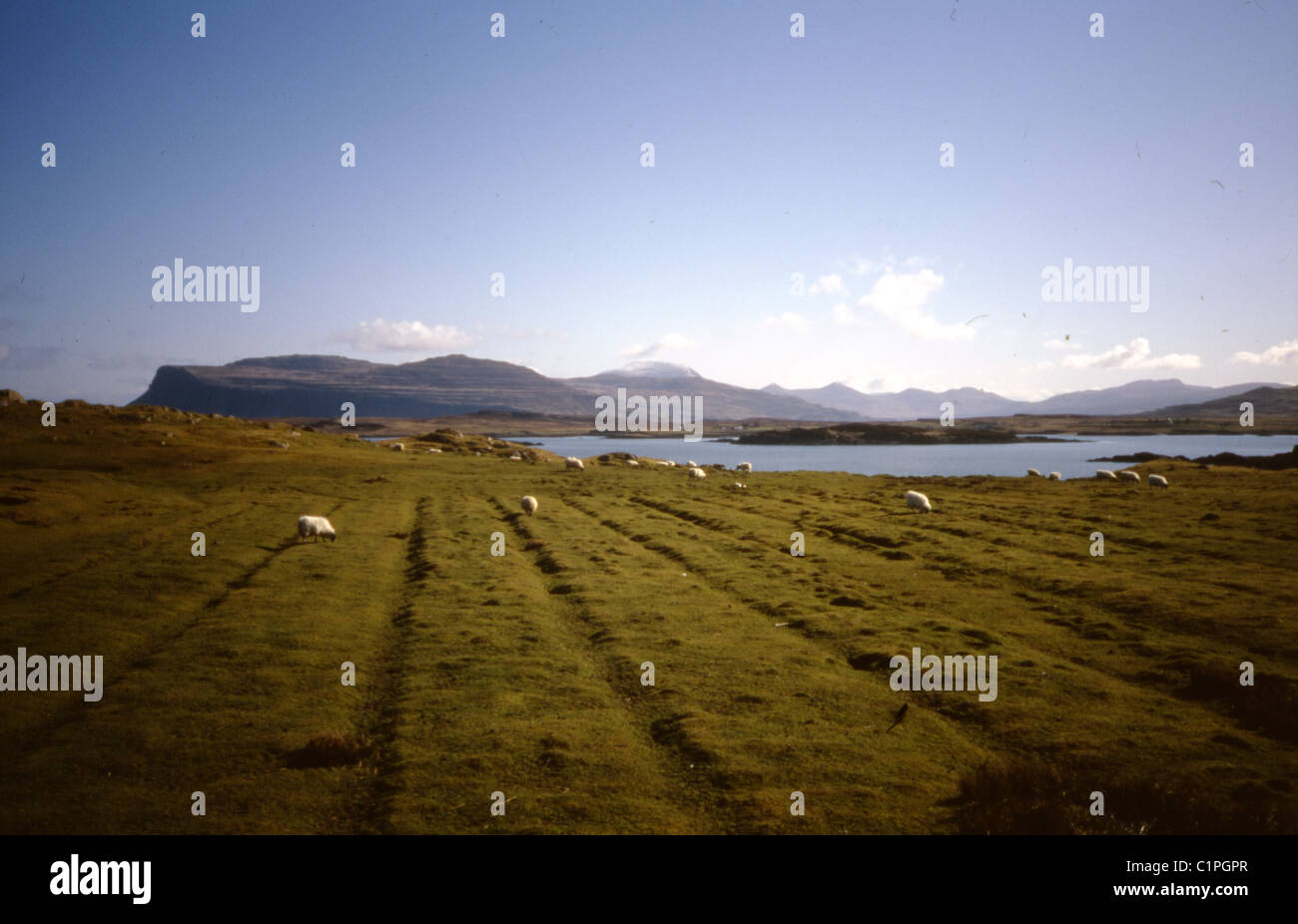 Scotland mull highlands field hi-res stock photography and images - Alamy