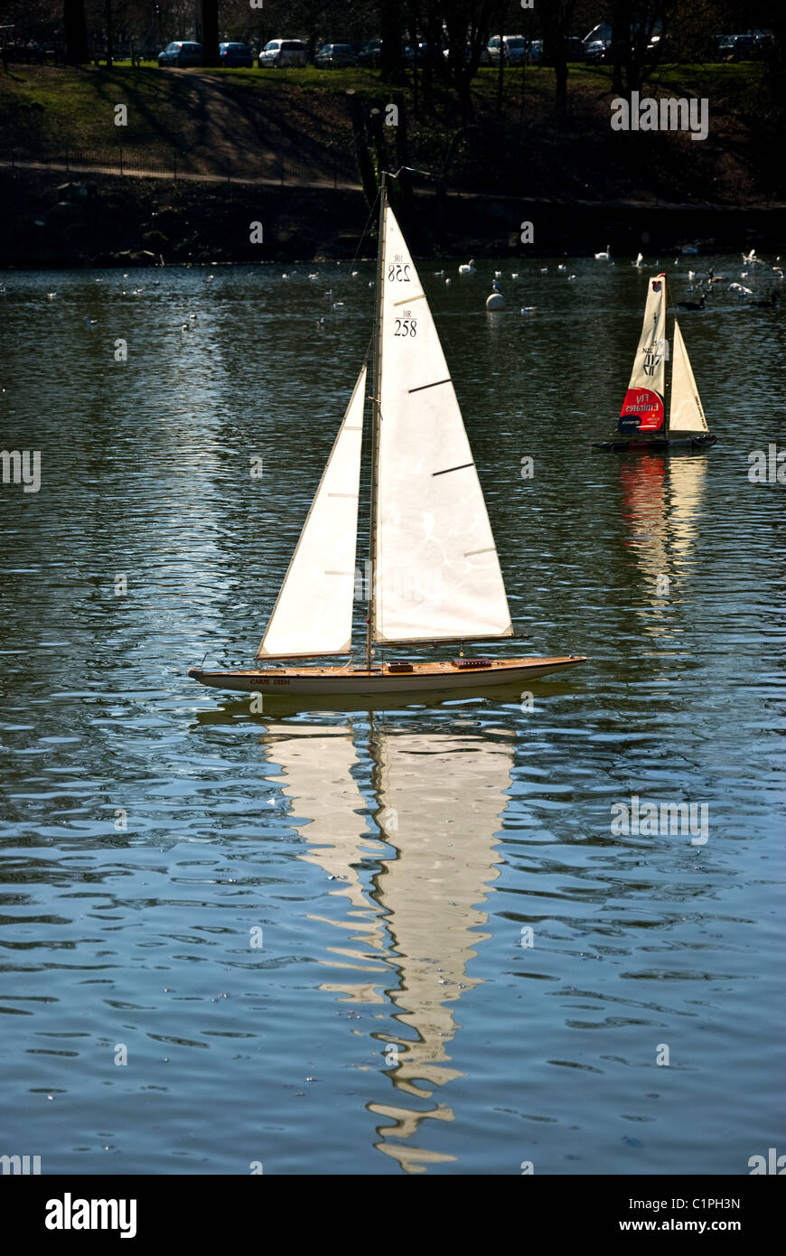 Sailing model boats on lake hi-res stock photography and images - Alamy