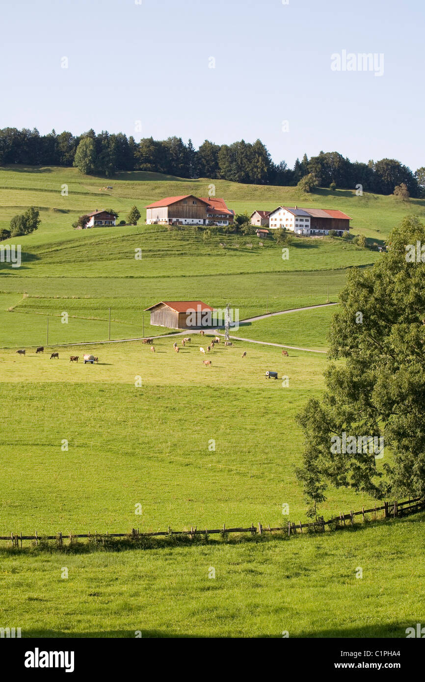 Germany, Bavaria, Halblech, farm on lush landscape Stock Photo - Alamy