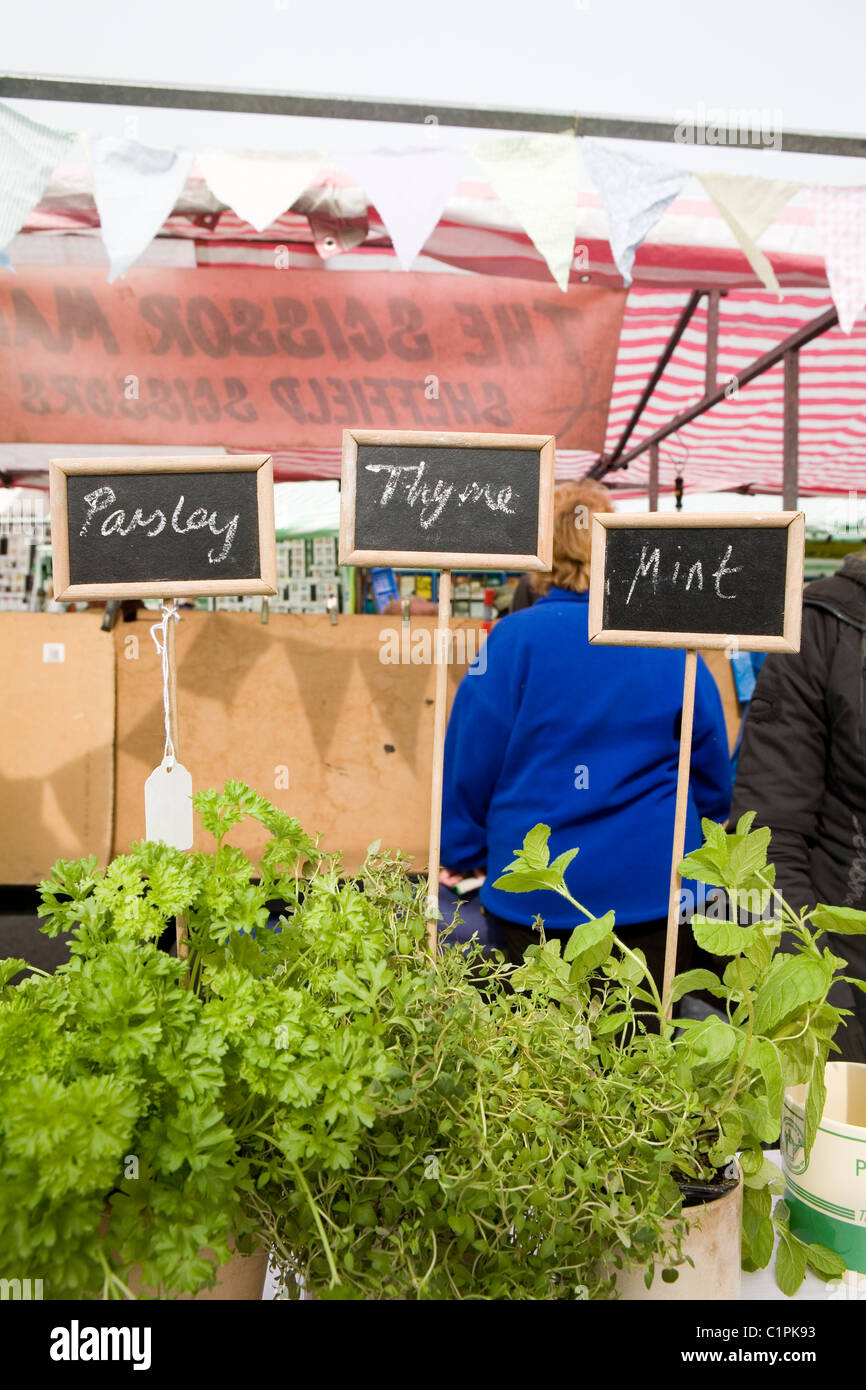 England, Derbyshire, Ashbourne, herb plants on market stall Stock Photo ...
