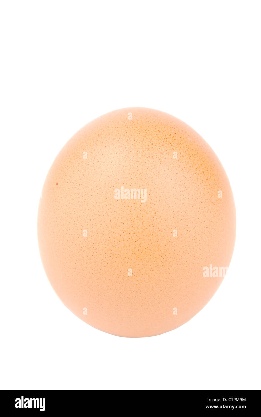 close-up of a egg isolated on white background Stock Photo - Alamy