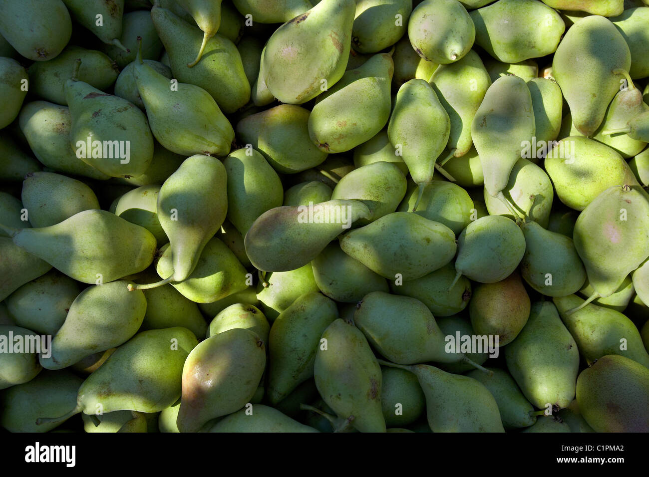 Fresh water spain hi-res stock photography and images - Alamy