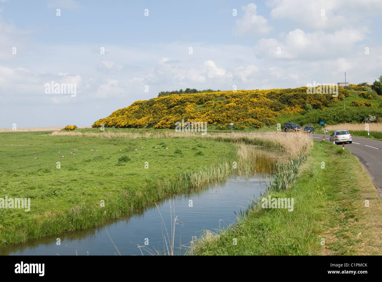 England, Norfolk, North coast marshes near Cley Stock Photo - Alamy